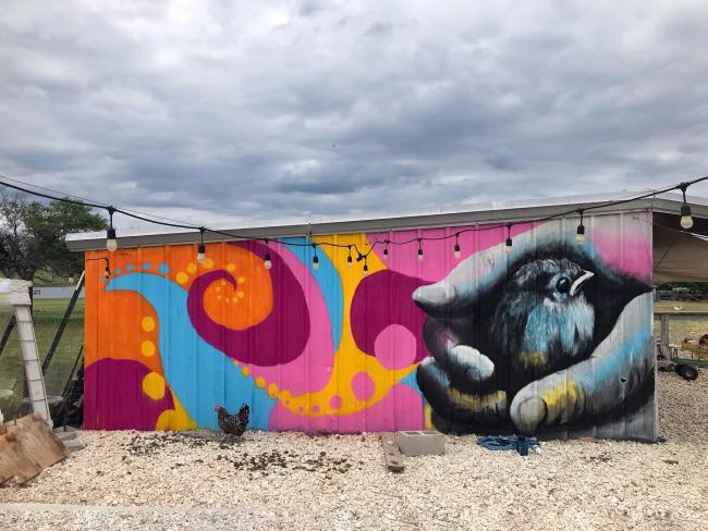 Brady Black chosen as mural artist for Center for Active Living ...